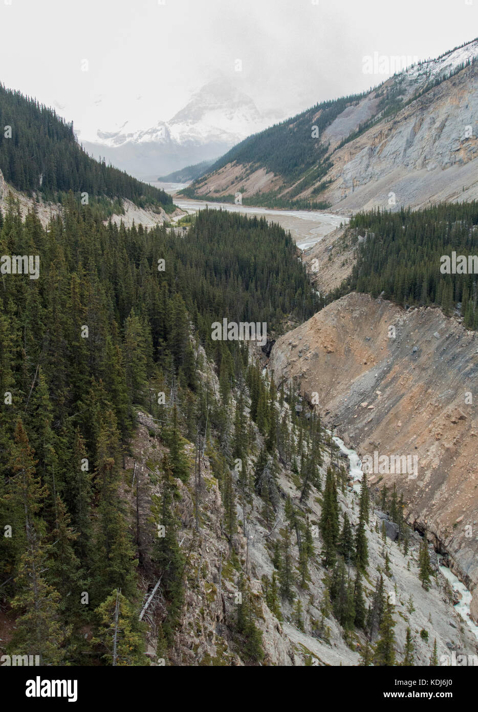 A view of Jasper National Park as seen from the Glacier Skywalk in ...