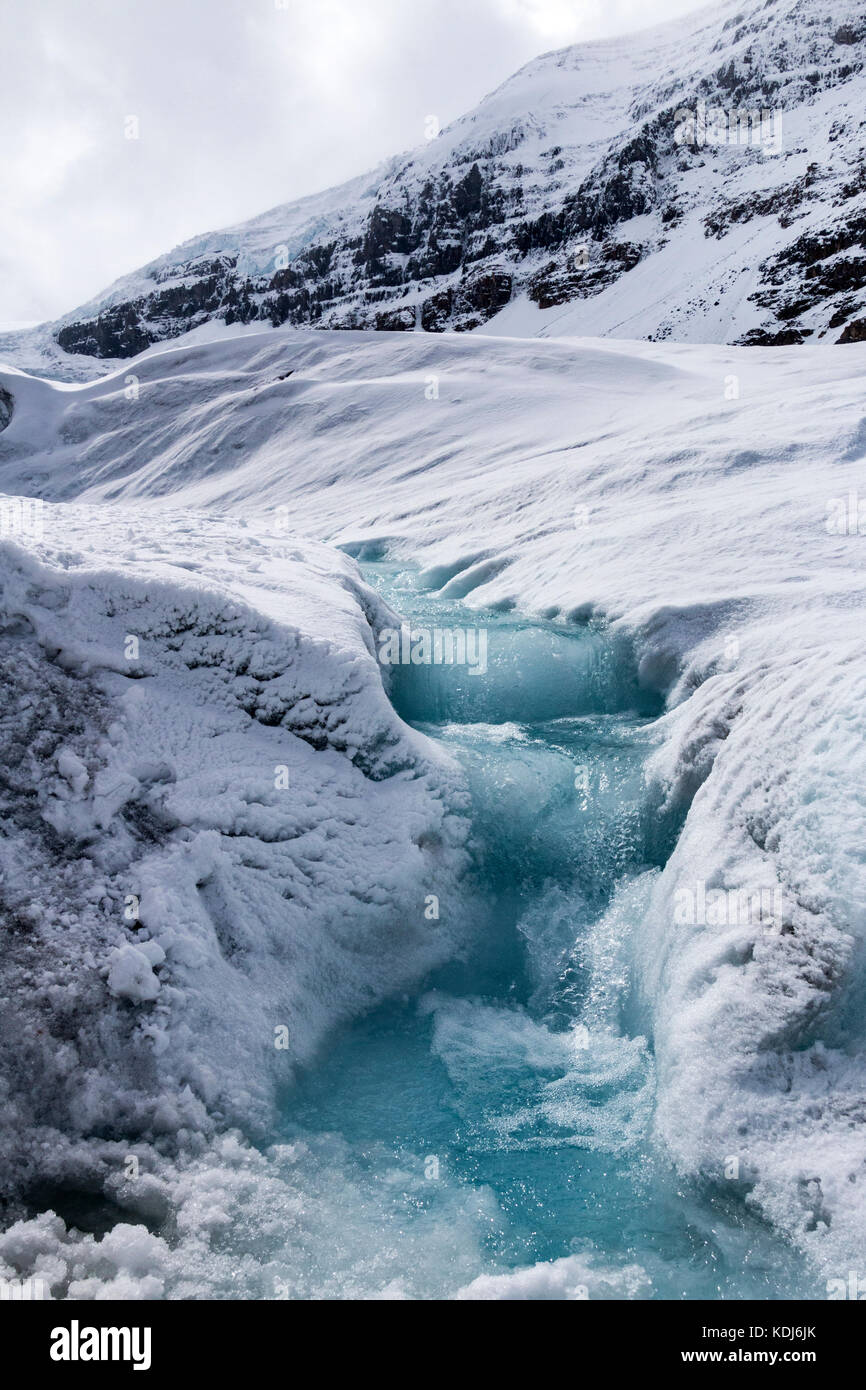 Clean glacier water running down from the Athabasca Glacier in Alberta ...