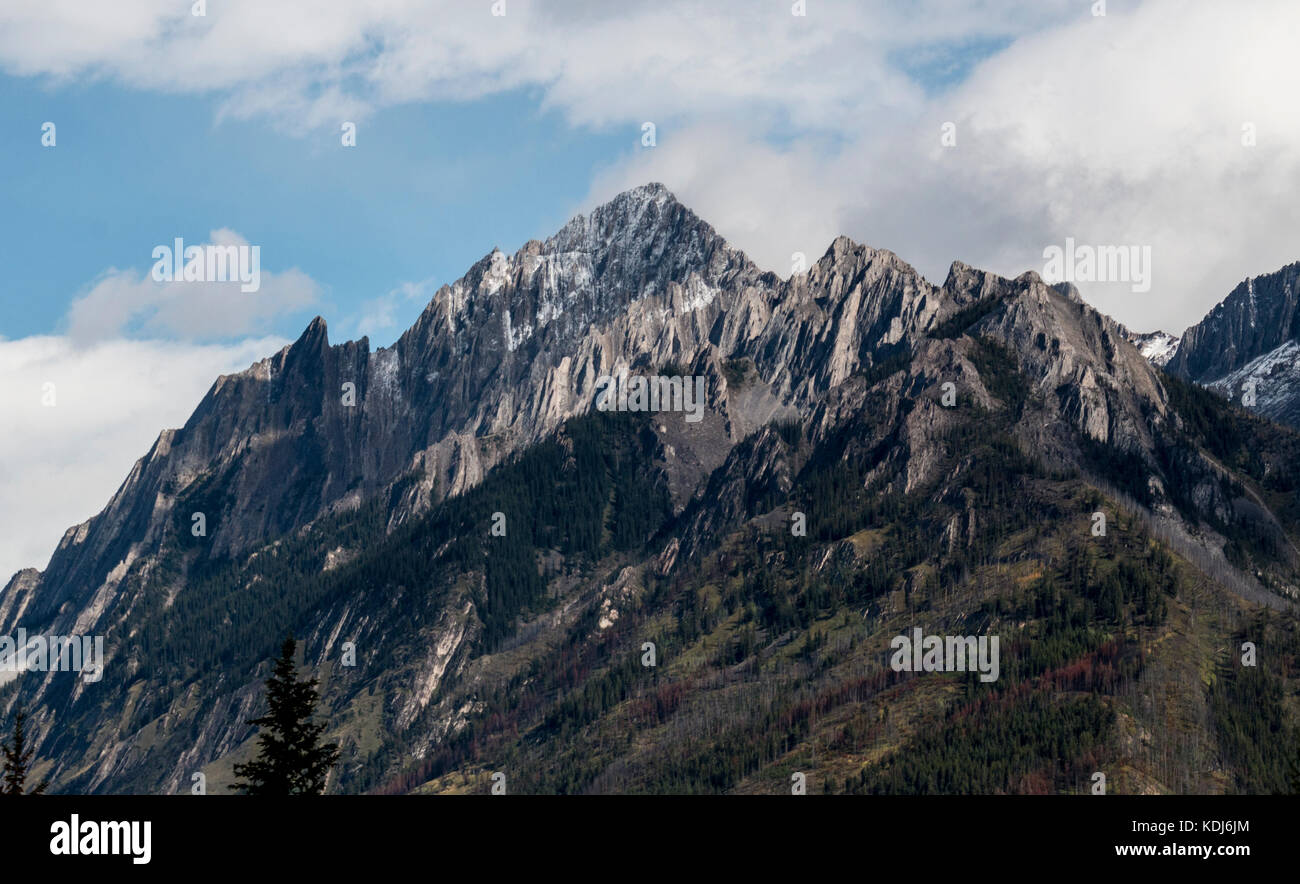 Pine trees line the outer edges of a tall and rocky mountain in Banff ...