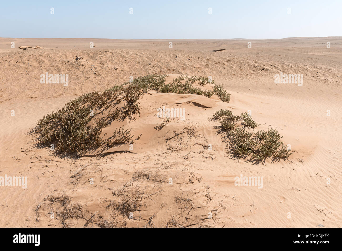 Typical Namib desert coastal dune in the Skeleton Coast area of Namibia ...