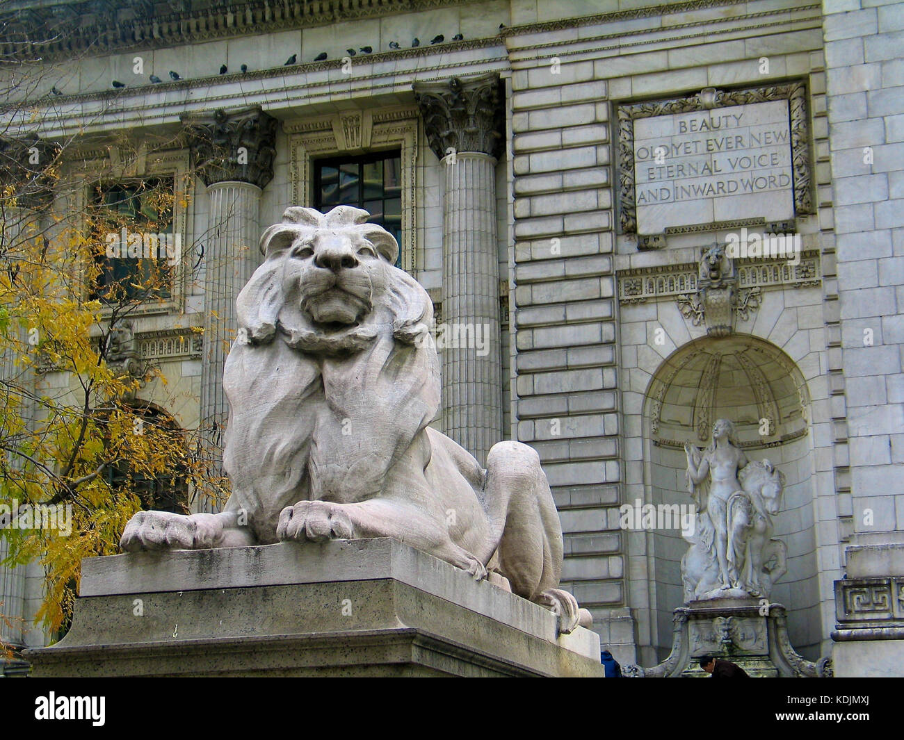 Lion of the NYPL main branch Stock Photo - Alamy