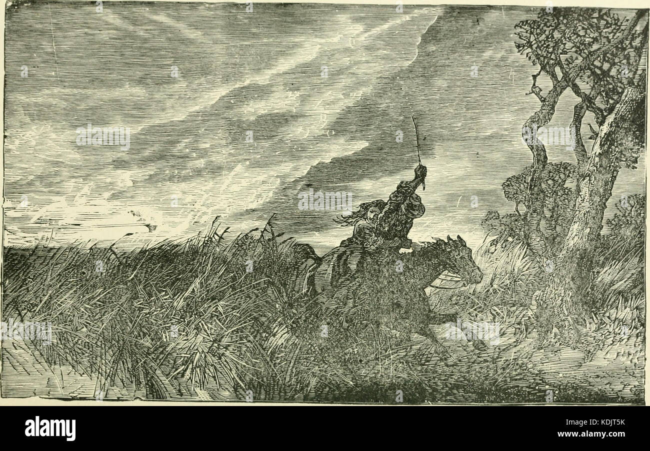 Perfect pearls of poetry and prose; the most unique, touching ...