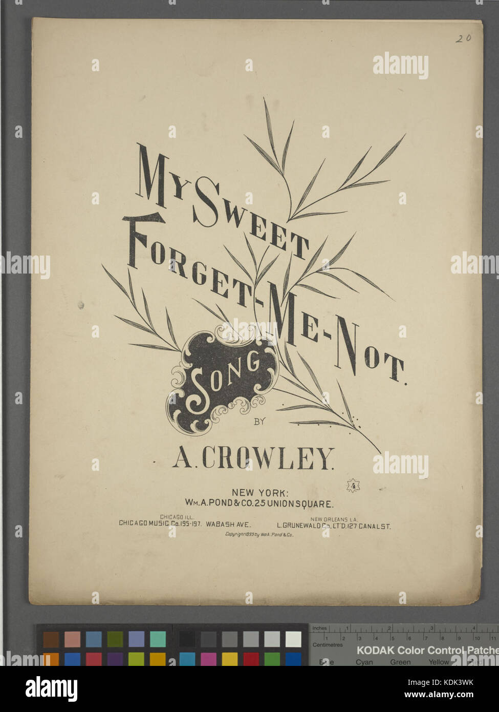 My sweet forget me not (NYPL Hades 463877 1255420 Stock Photo - Alamy