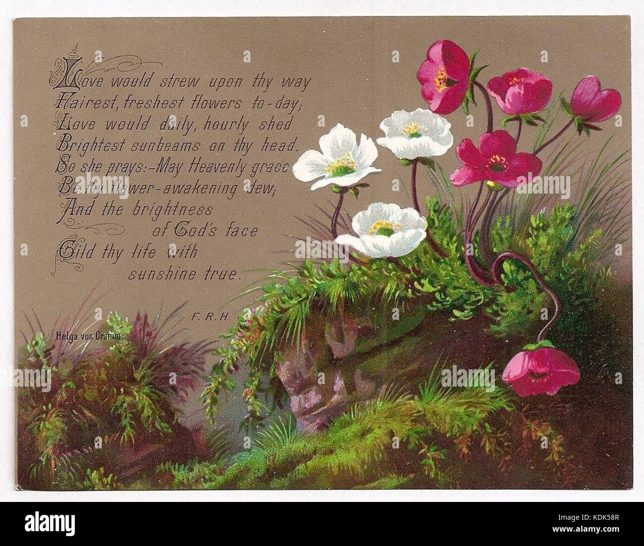 A chromolithograph print by Helga von Cramm, featuring flowers and ...