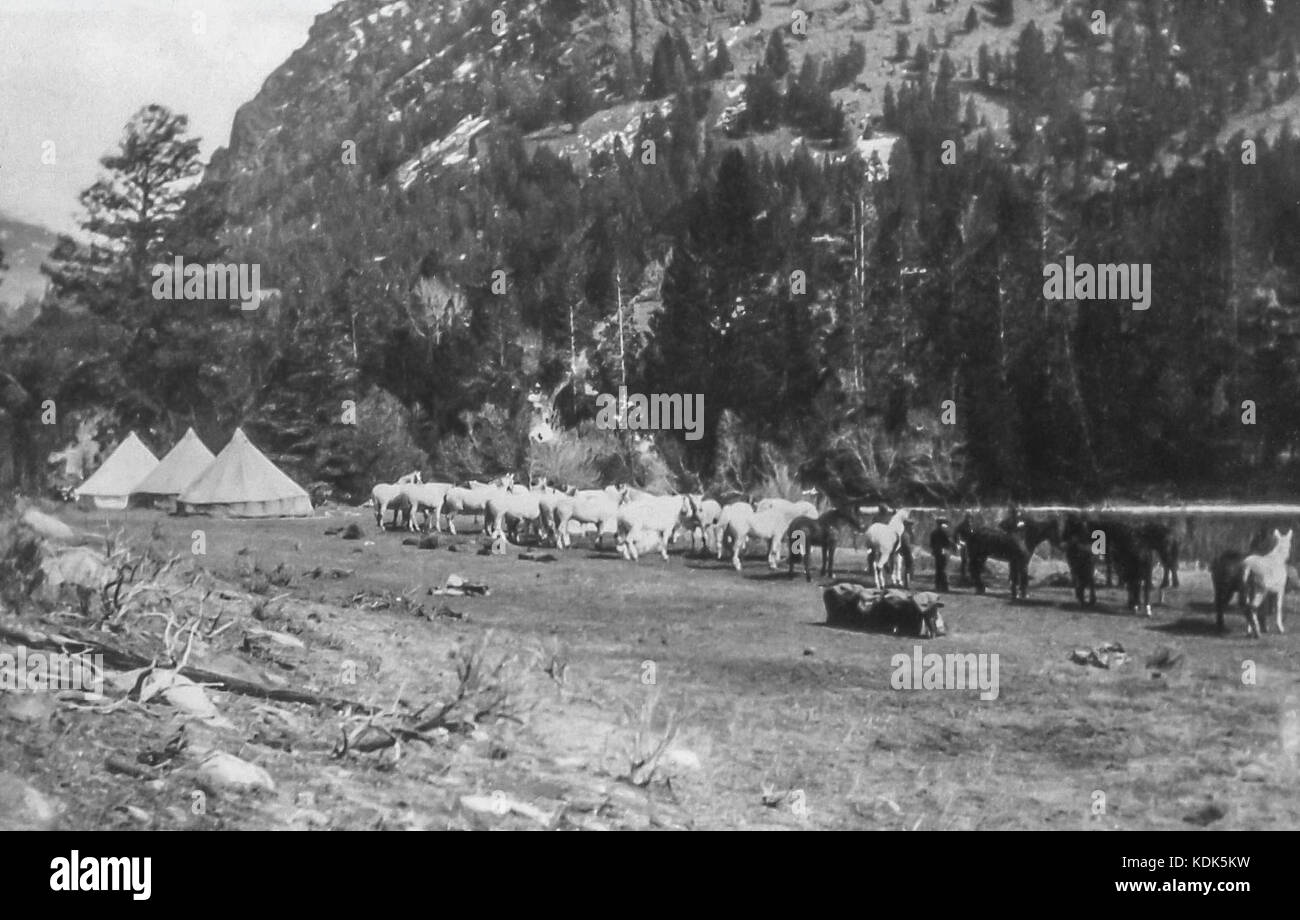 Roosevelts illustration hi-res stock photography and images - Alamy