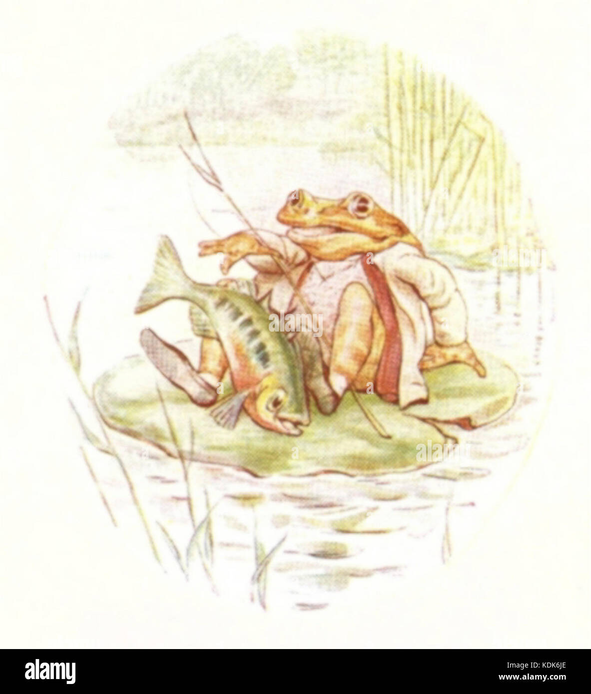 Mr. Jeremy Fisher, a character from Beatrix Potter's children's book ...