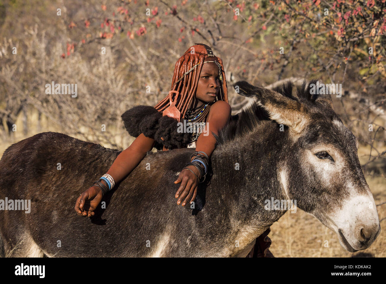 Kunene Region, Angola. 23rd July, 2016. A Himba woman with her donkey ...