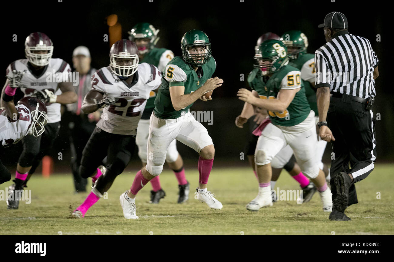 Suncoast hi-res stock photography and images - Alamy