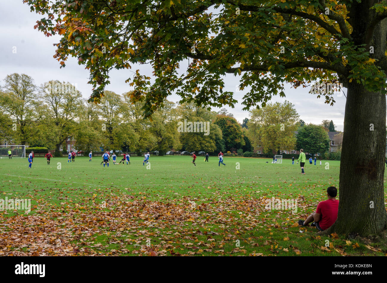 A view of Prospect Park in Reading in Berkshire during autumn Stock ...