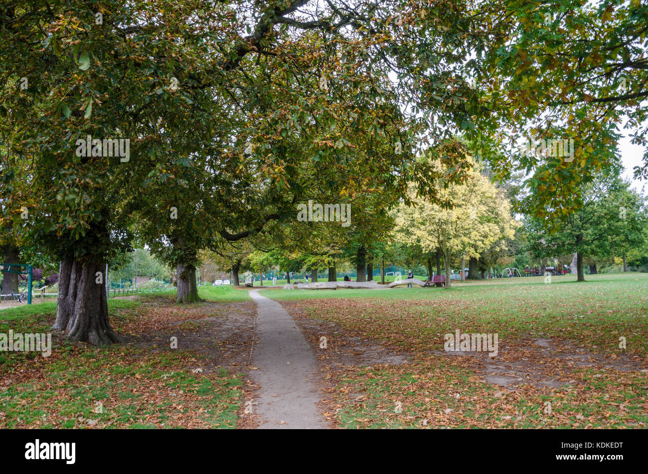 A view of Prospect Park in Reading in Berkshire during autumn Stock ...
