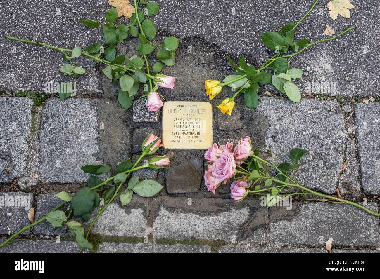 Munich, Bavaria, Germany. 14th Oct, 2017. Despite lengthy battles, the ...
