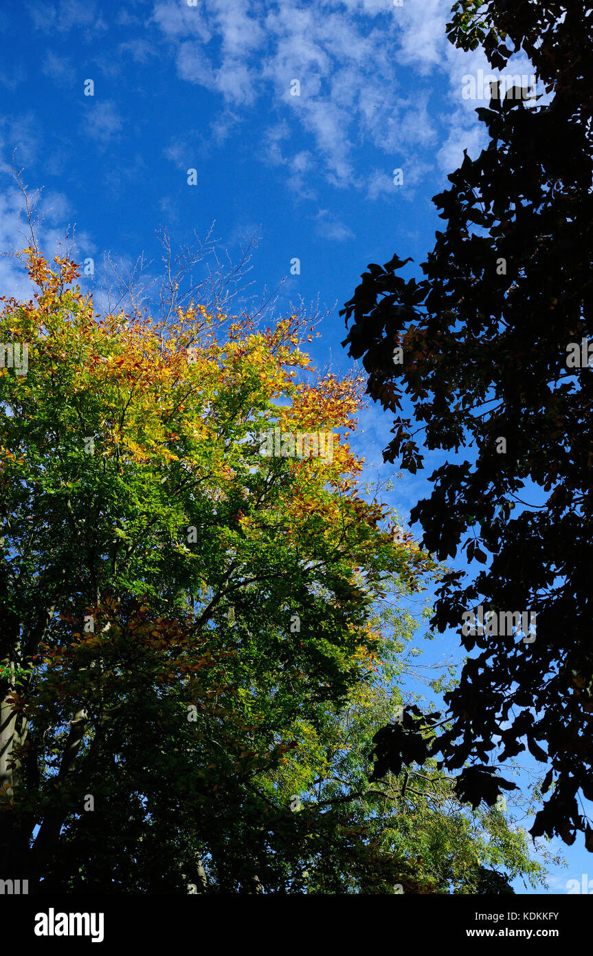 14th October 2017. Bourne, United Kingdom. Autumn Colours in the ...