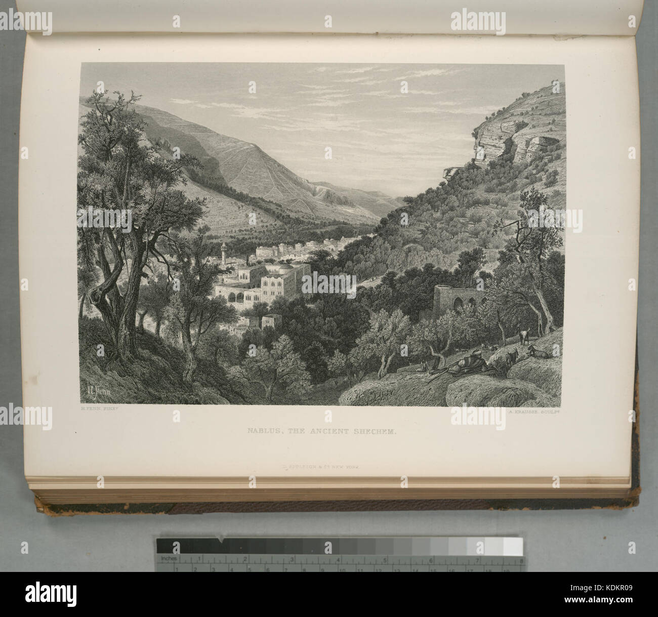 Ancient shechem hi-res stock photography and images - Alamy