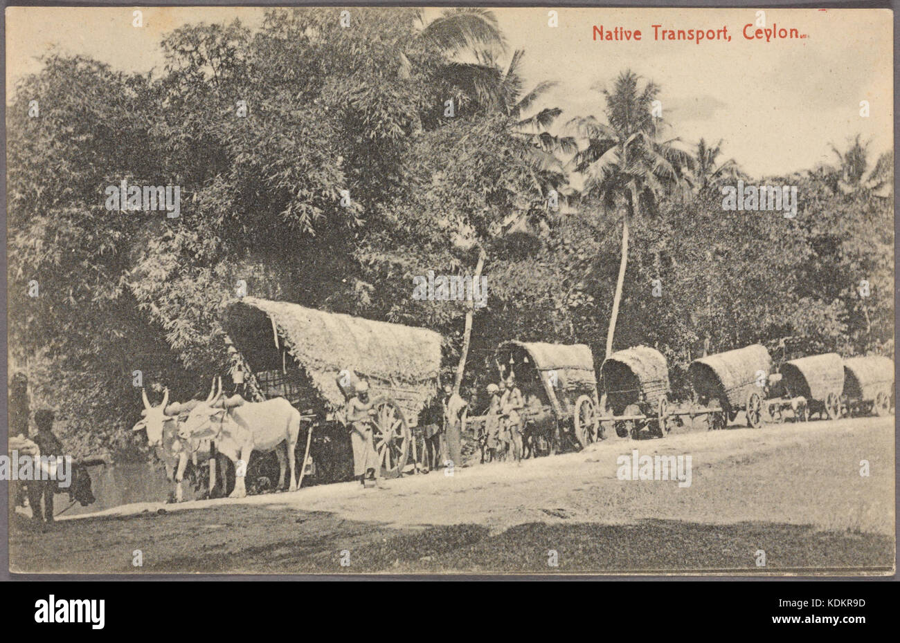 Native transport hi-res stock photography and images - Alamy