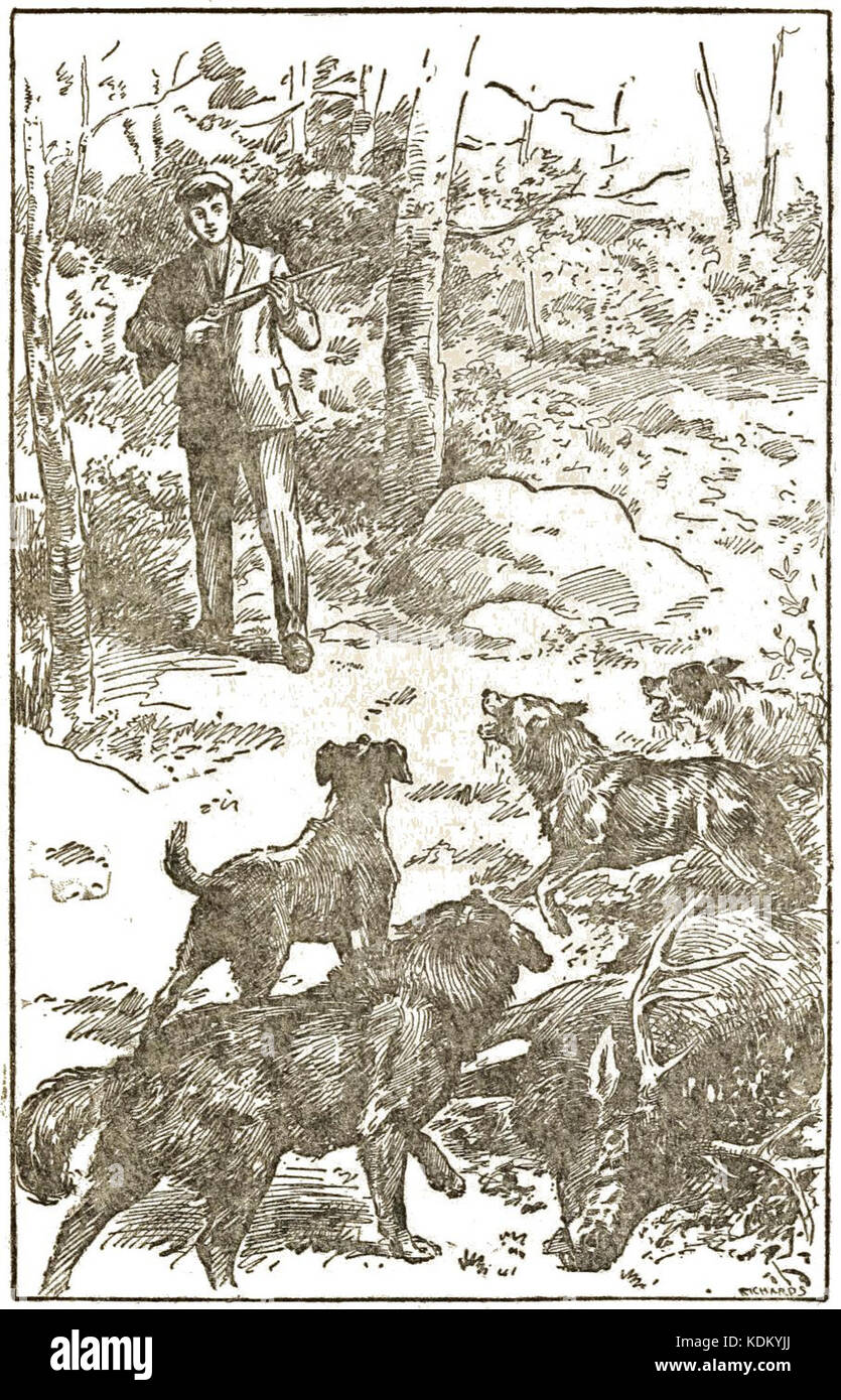 Outdoor Chums p141 Stock Photo - Alamy