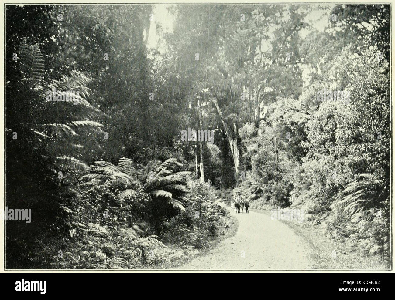 1900s letters hi-res stock photography and images - Alamy