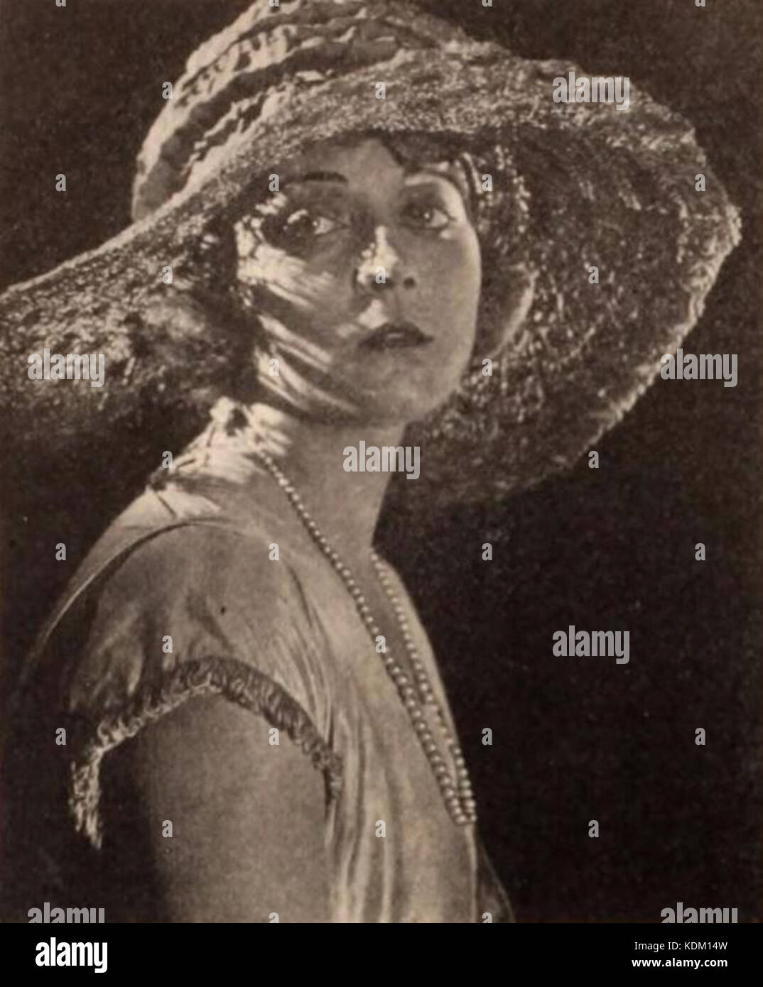 Jane novak hi-res stock photography and images - Alamy