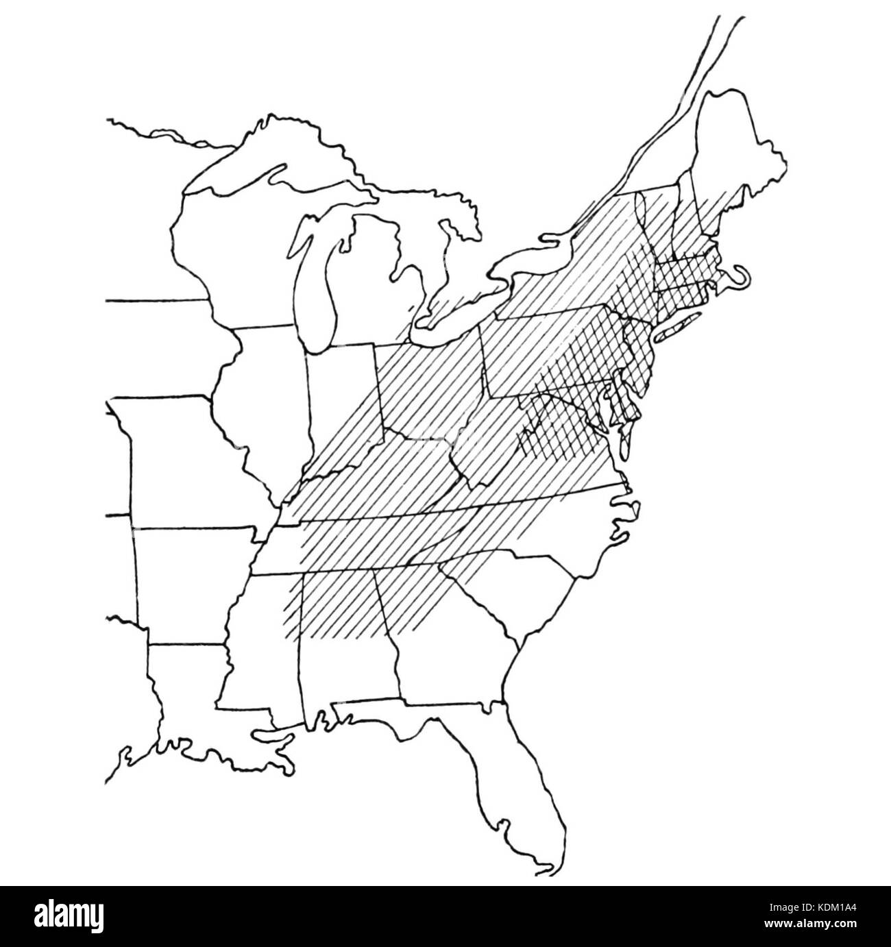 American natural history Cut Out Stock Images & Pictures - Alamy