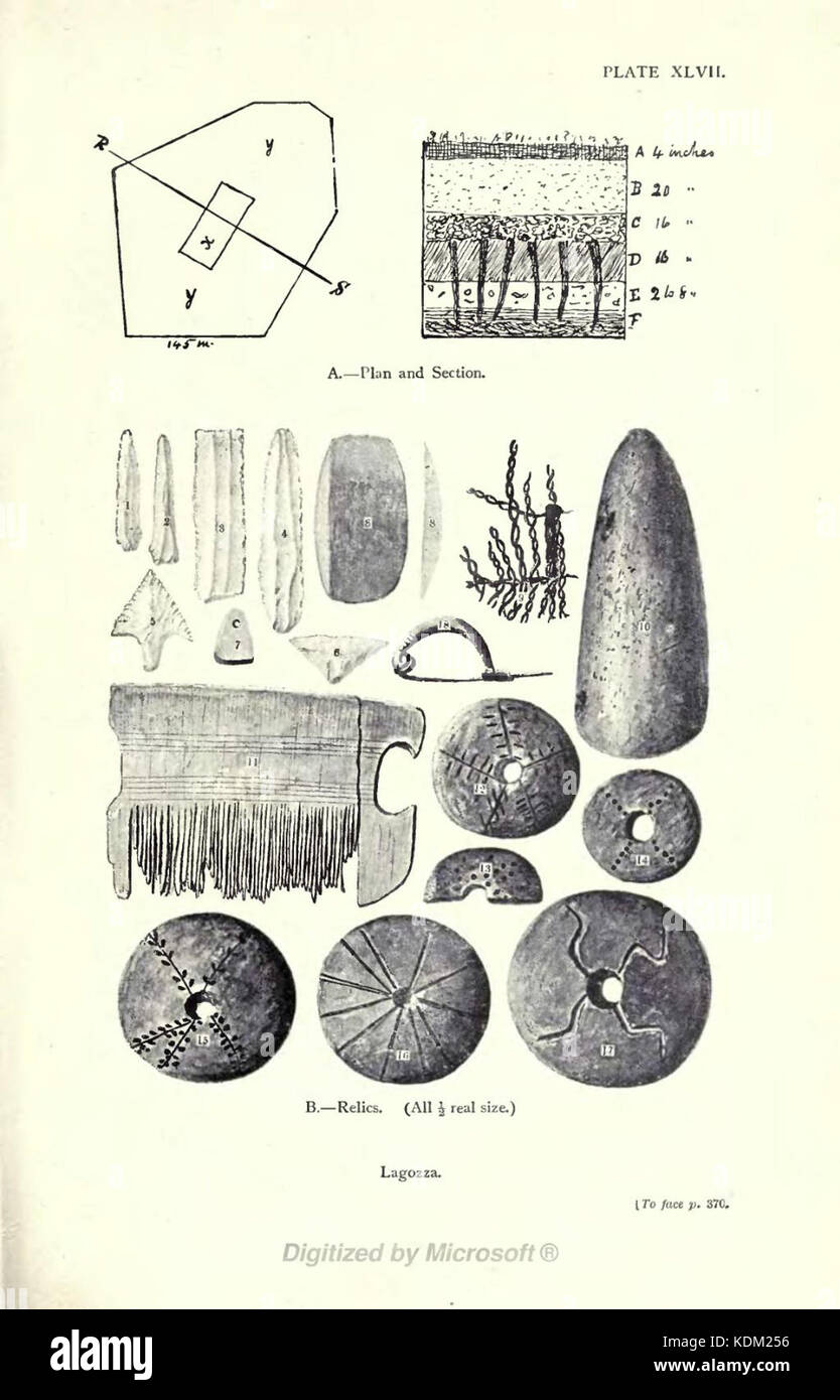 Old scientific plate hi-res stock photography and images - Alamy