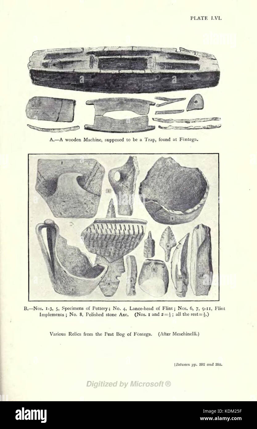This plate, labeled 'Plate LVI', is part of a historical collection ...