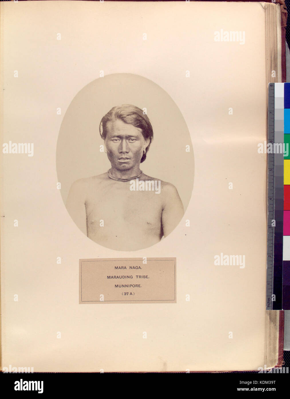 Marauding hi-res stock photography and images - Alamy