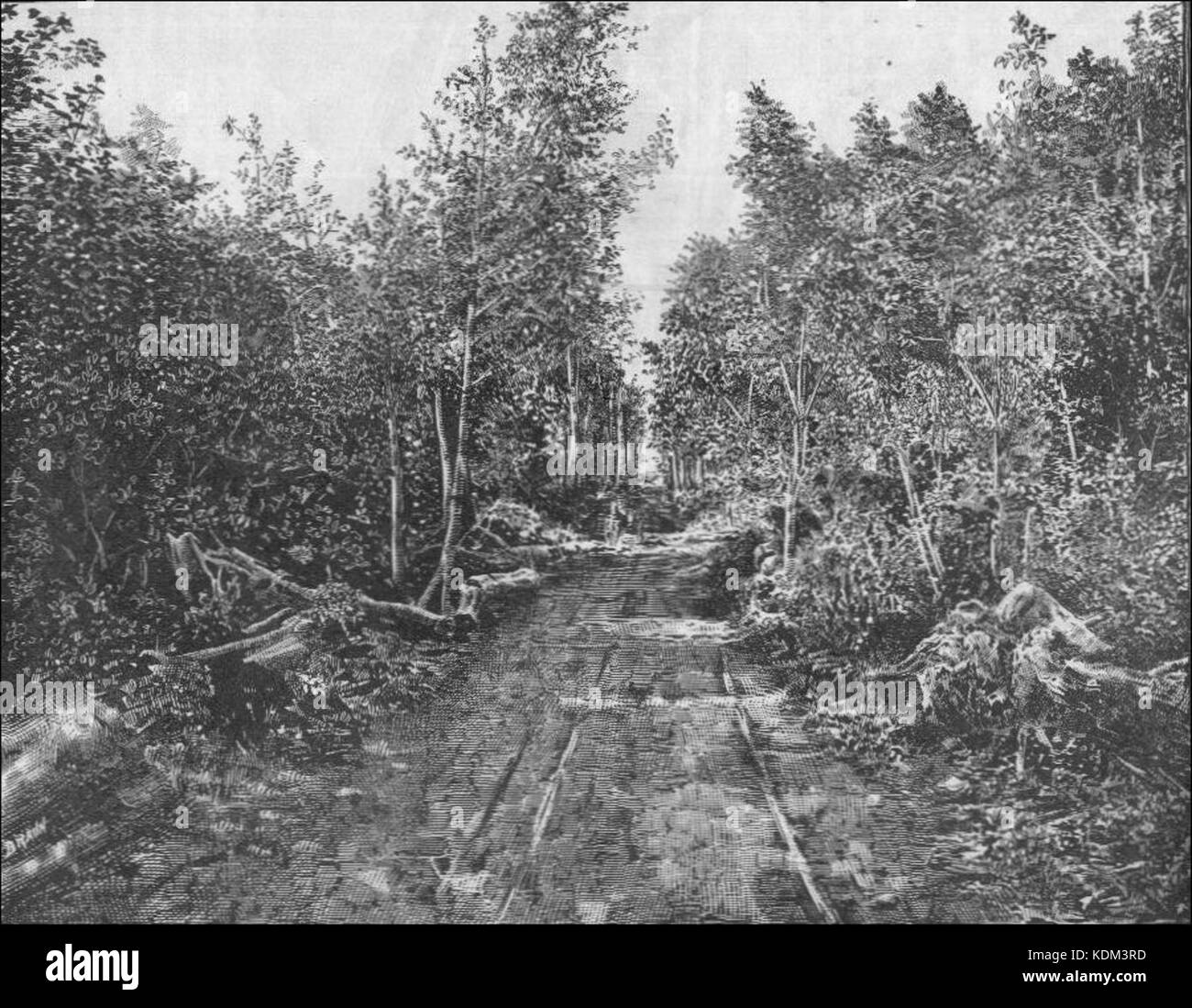 Old fairhaven hi-res stock photography and images - Alamy