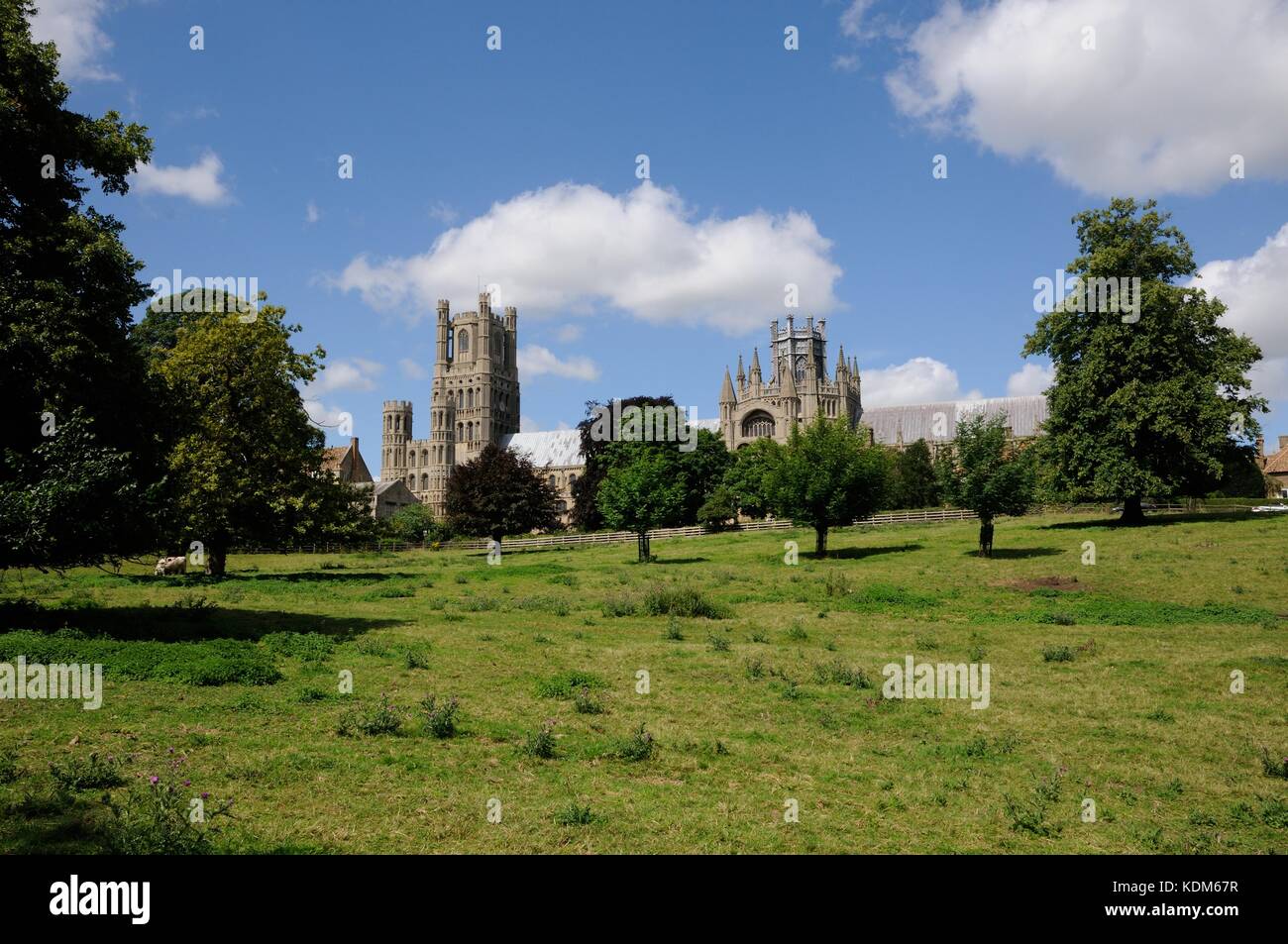 Ely cathedral architecture hi-res stock photography and images - Alamy