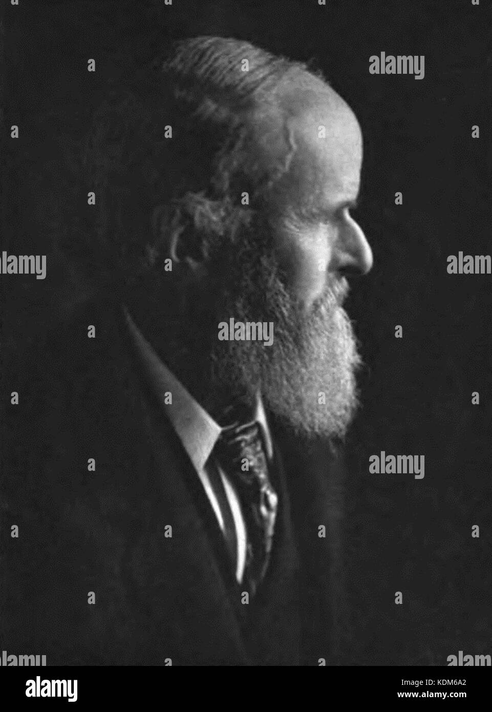 William de morgan hi-res stock photography and images - Alamy