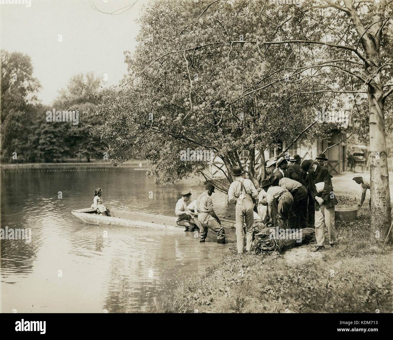 A historical photograph showing seining, a fishing technique, in Sylvan ...