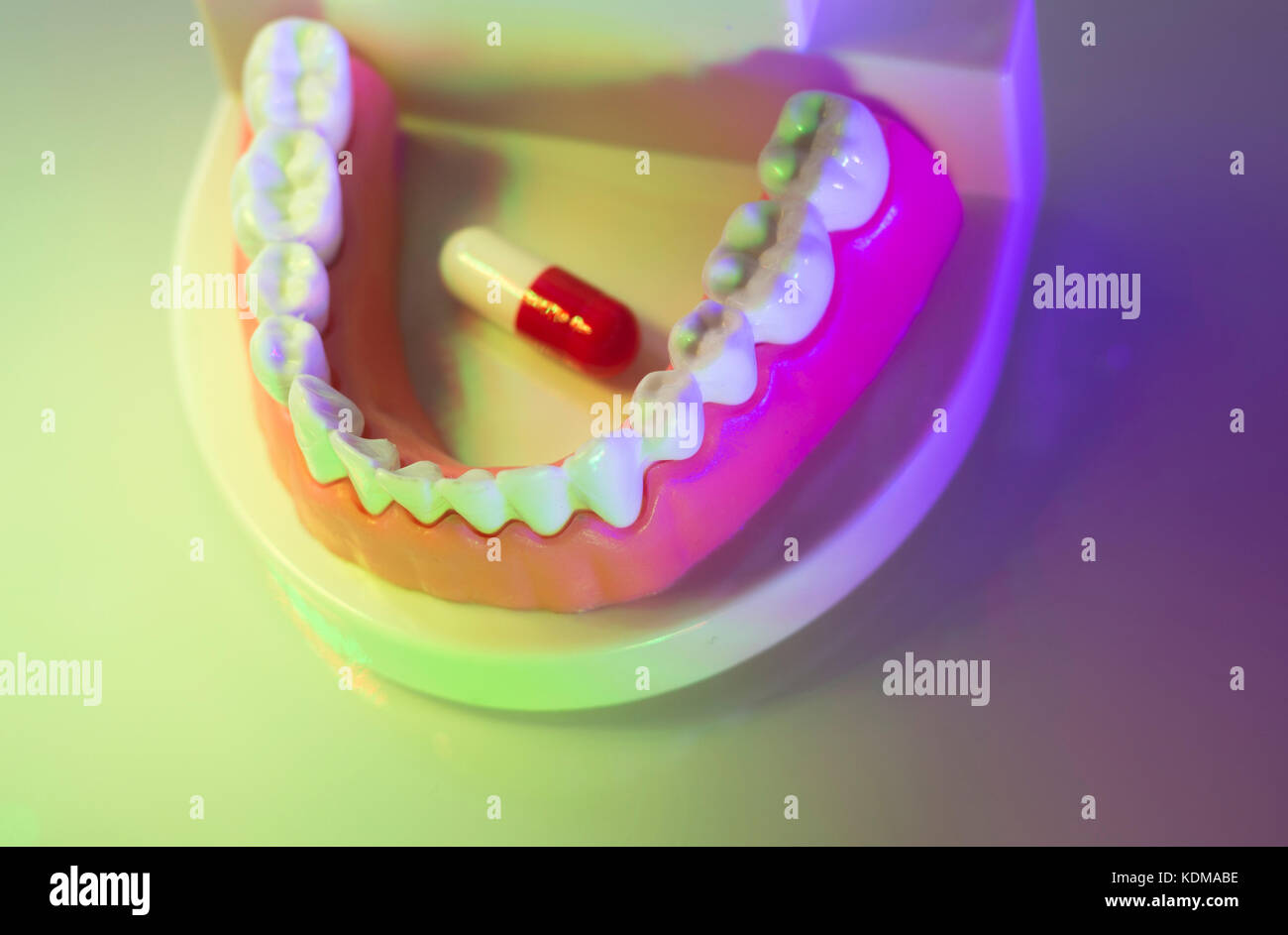 Dental teeth, mouth, gums dentists teaching model showing each tooth ...
