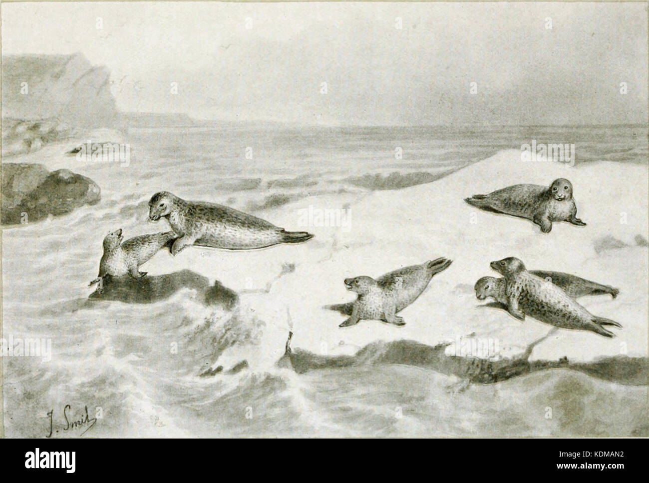 Polite illustration hi-res stock photography and images - Alamy