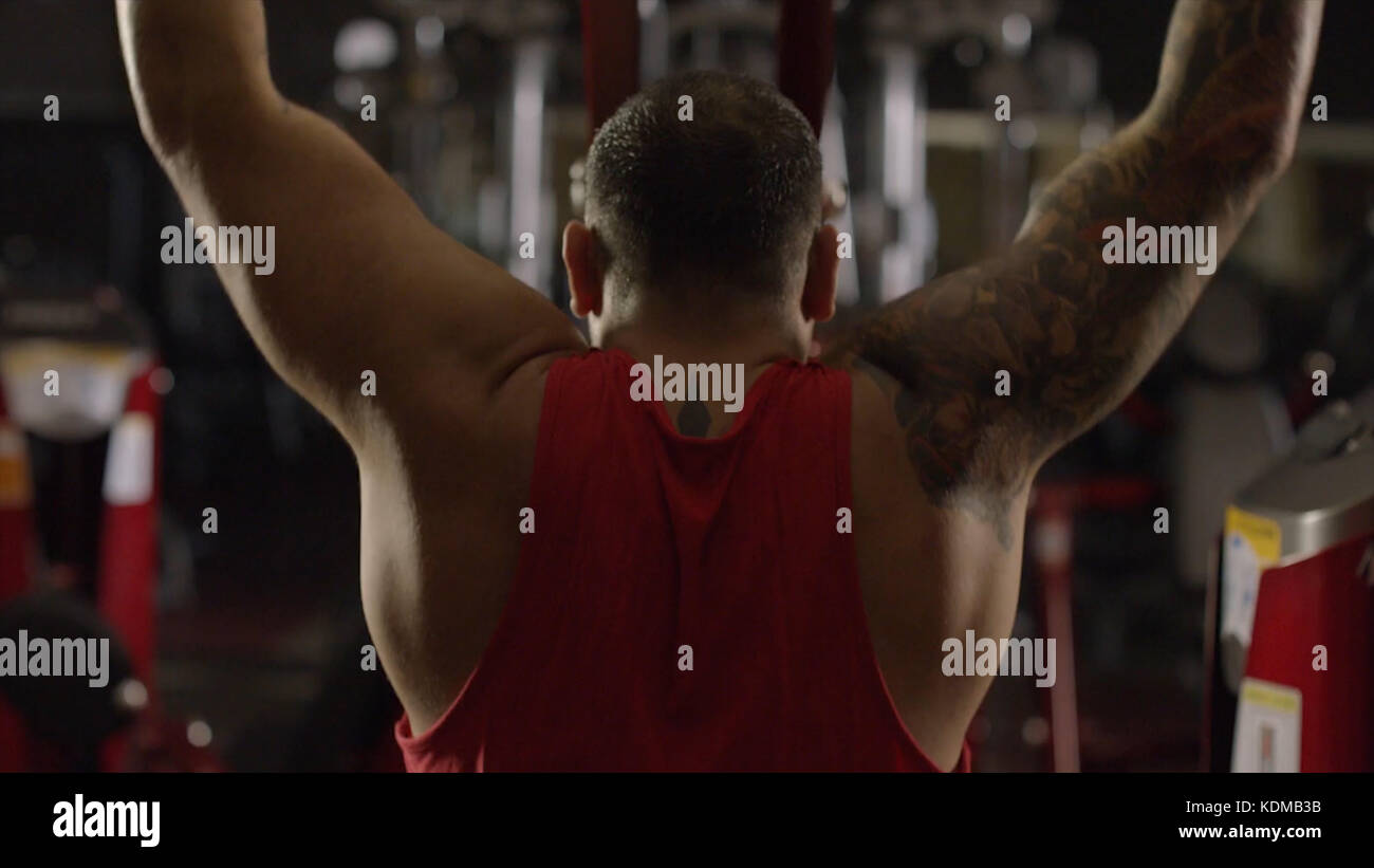 Athletic man training back muscles in gym. Brutal strong athletic men ...