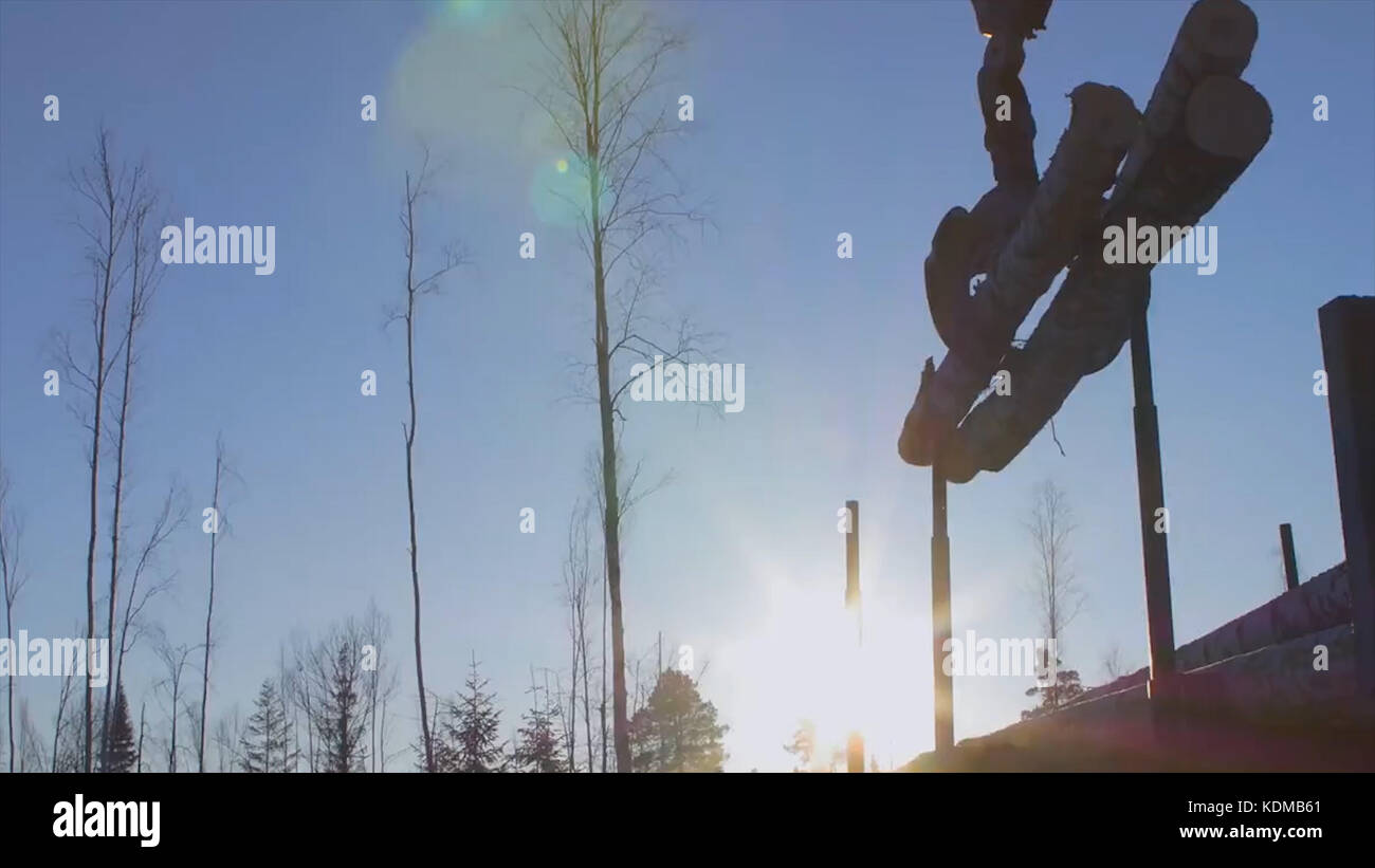 Preparation for planting trees. The cutting of trees with a bulldozer ...