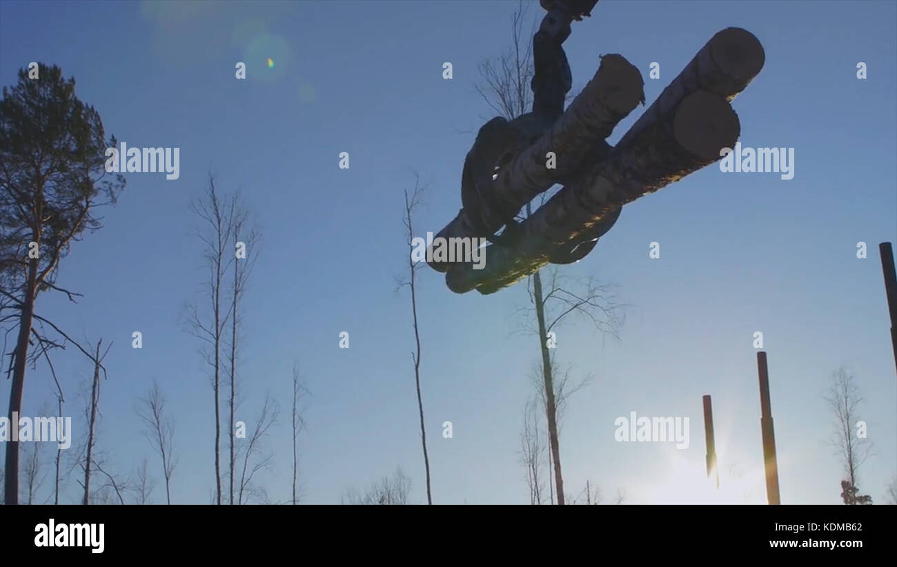 Preparation for planting trees. The cutting of trees with a bulldozer ...