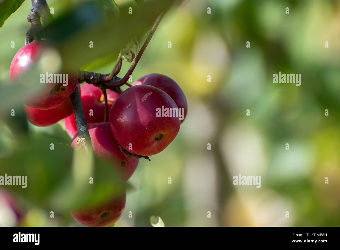 Growing with colors hi-res stock photography and images - Alamy