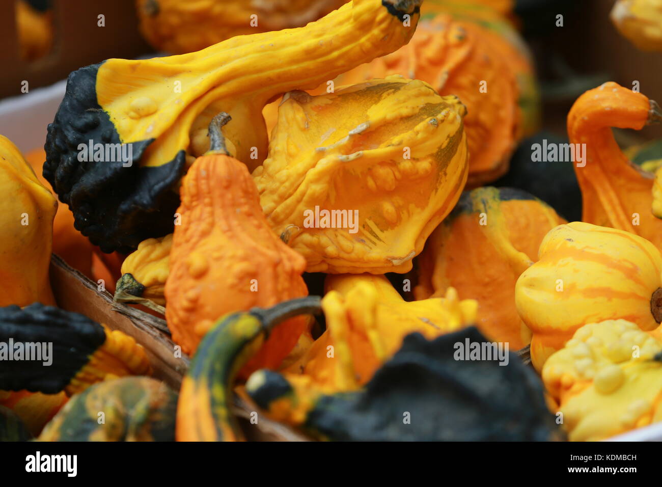 A display of squash on display at a farmers market Stock Photo - Alamy