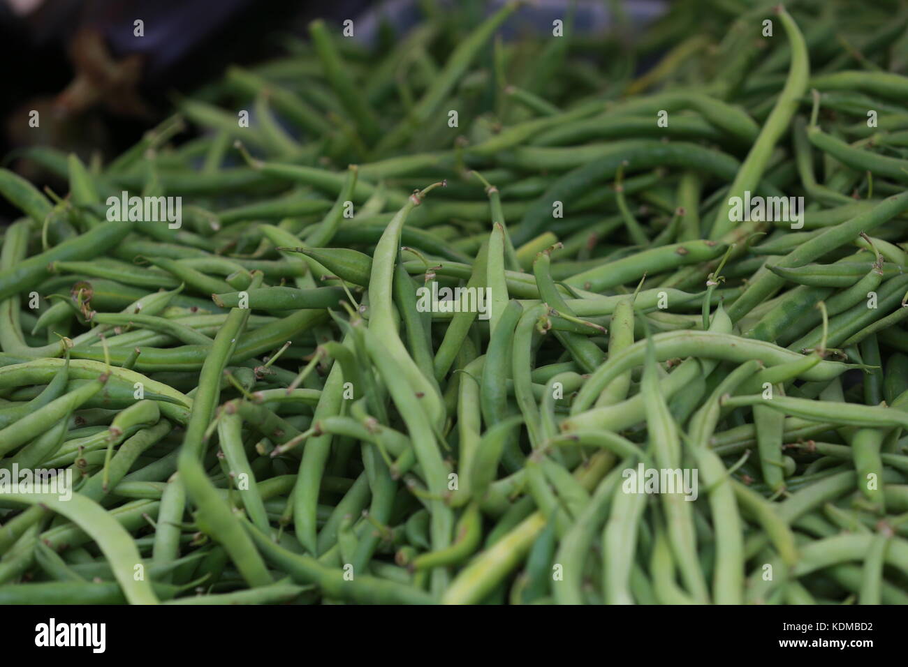 Farmers Beans High Resolution Stock Photography and Images - Alamy