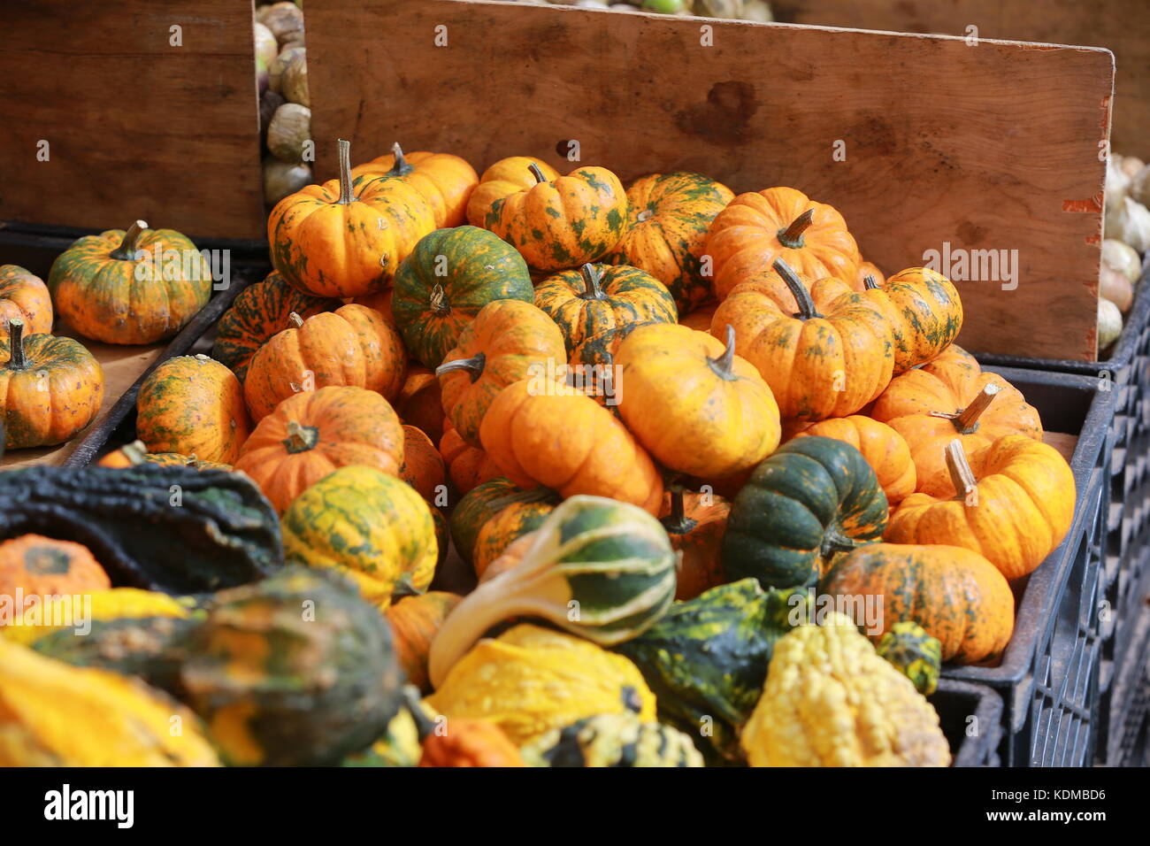 A display of pumpkins on display at a farmers market Stock Photo - Alamy