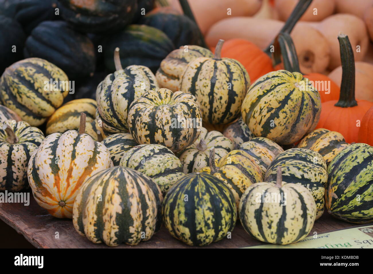 A display of sweet dumpling squash on display at a farmers market Stock ...