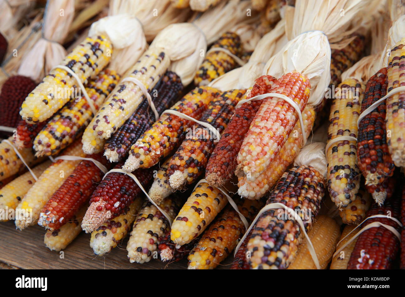 Indian corn and string hi-res stock photography and images - Alamy