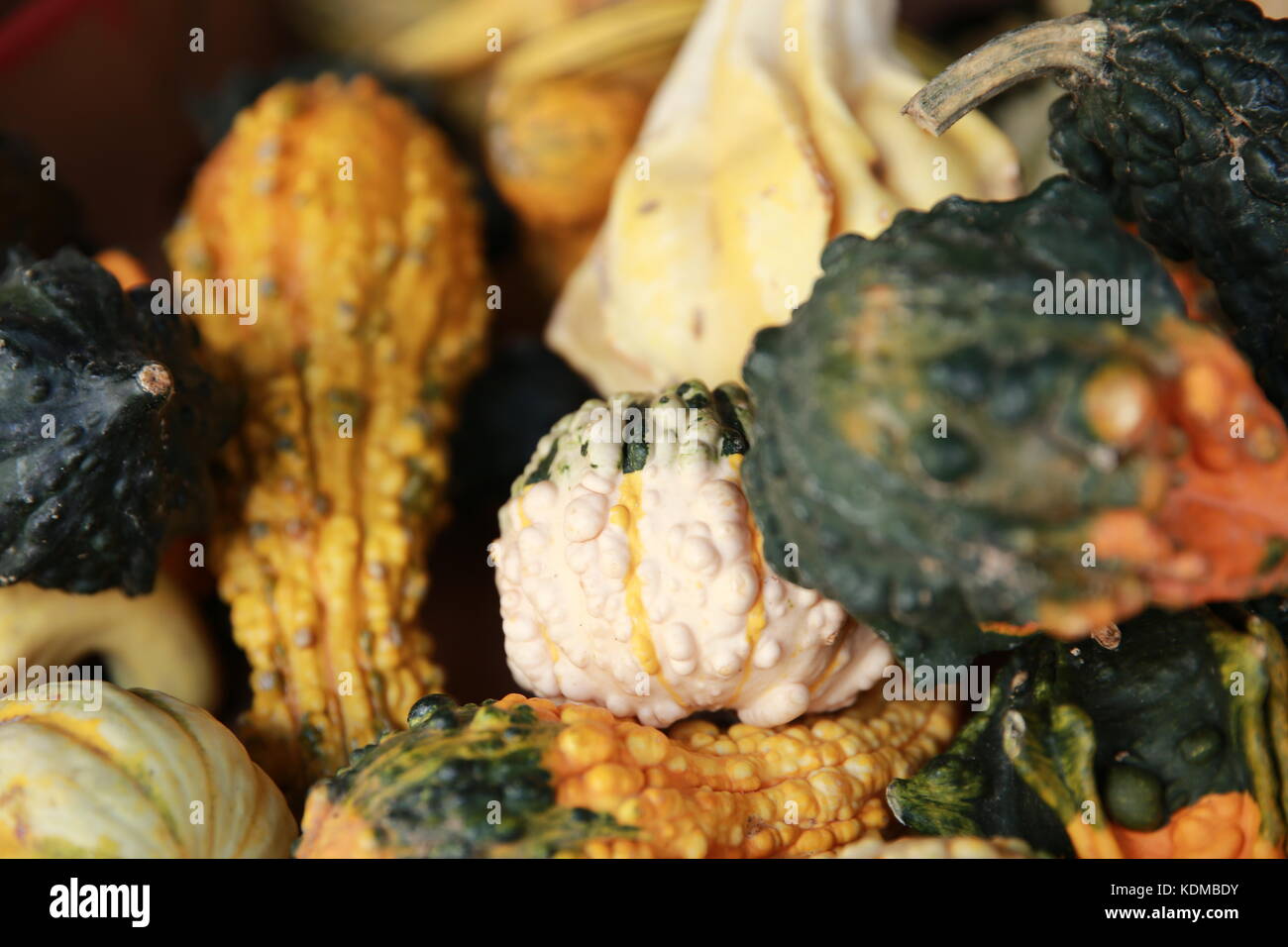 A display of squash on display at a farmers market Stock Photo - Alamy
