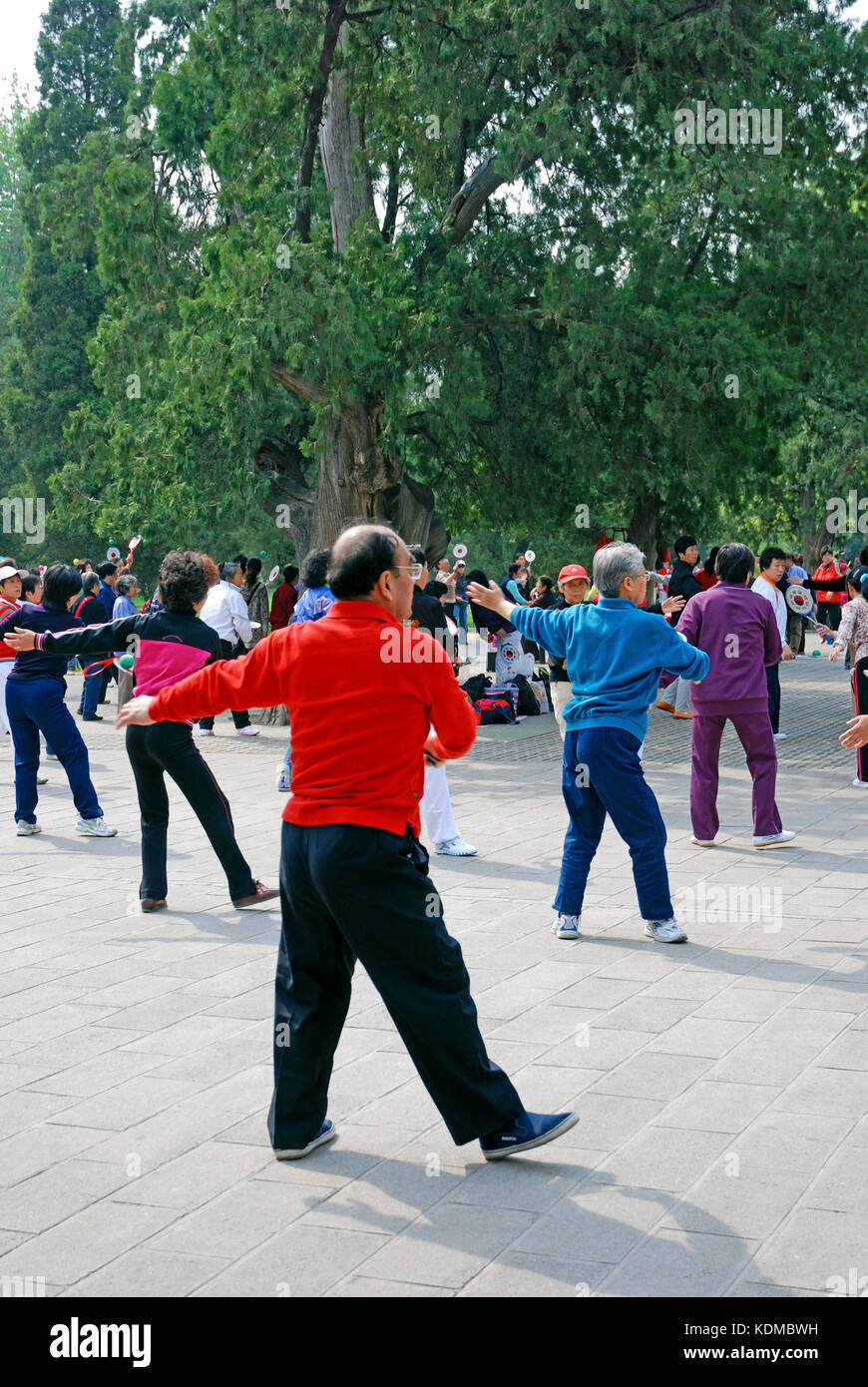 Group People Doing Tai Chi High Resolution Stock Photography and Images ...