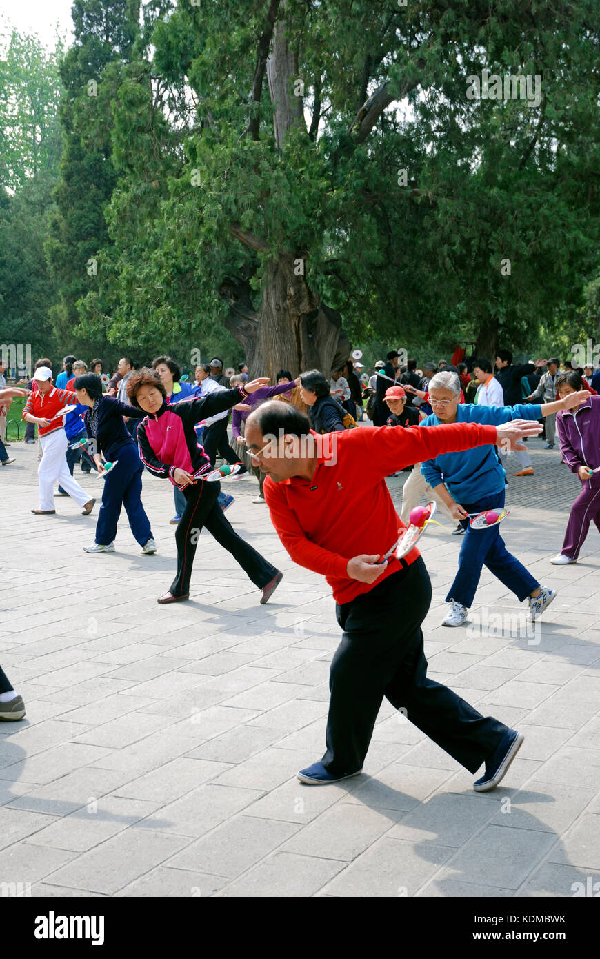 Group People Doing Tai Chi High Resolution Stock Photography and Images ...