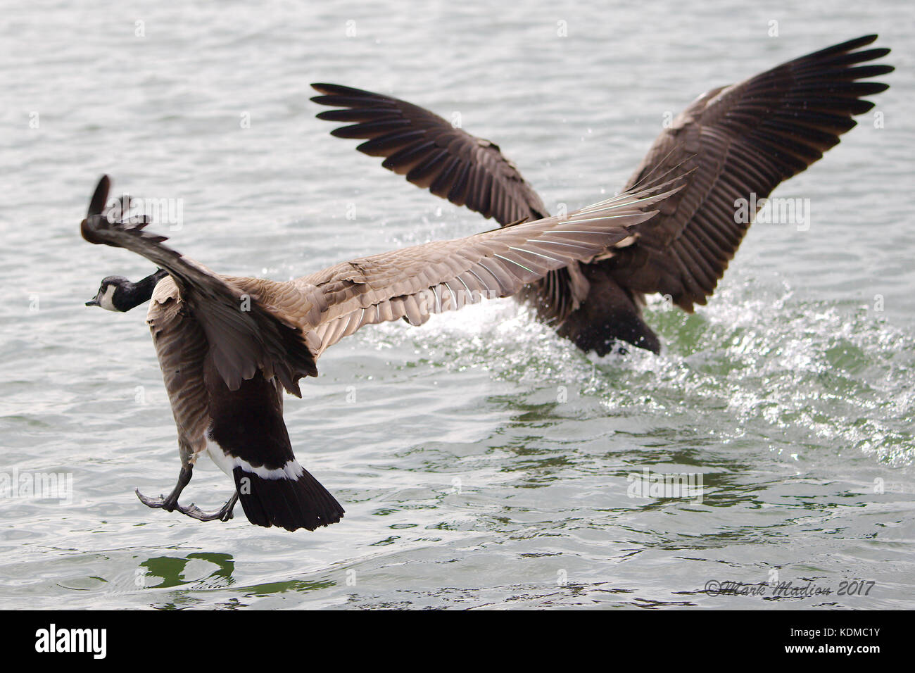 Park scenes hi-res stock photography and images - Alamy
