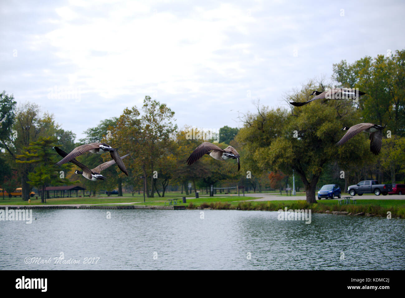 Park scenes hi-res stock photography and images - Alamy