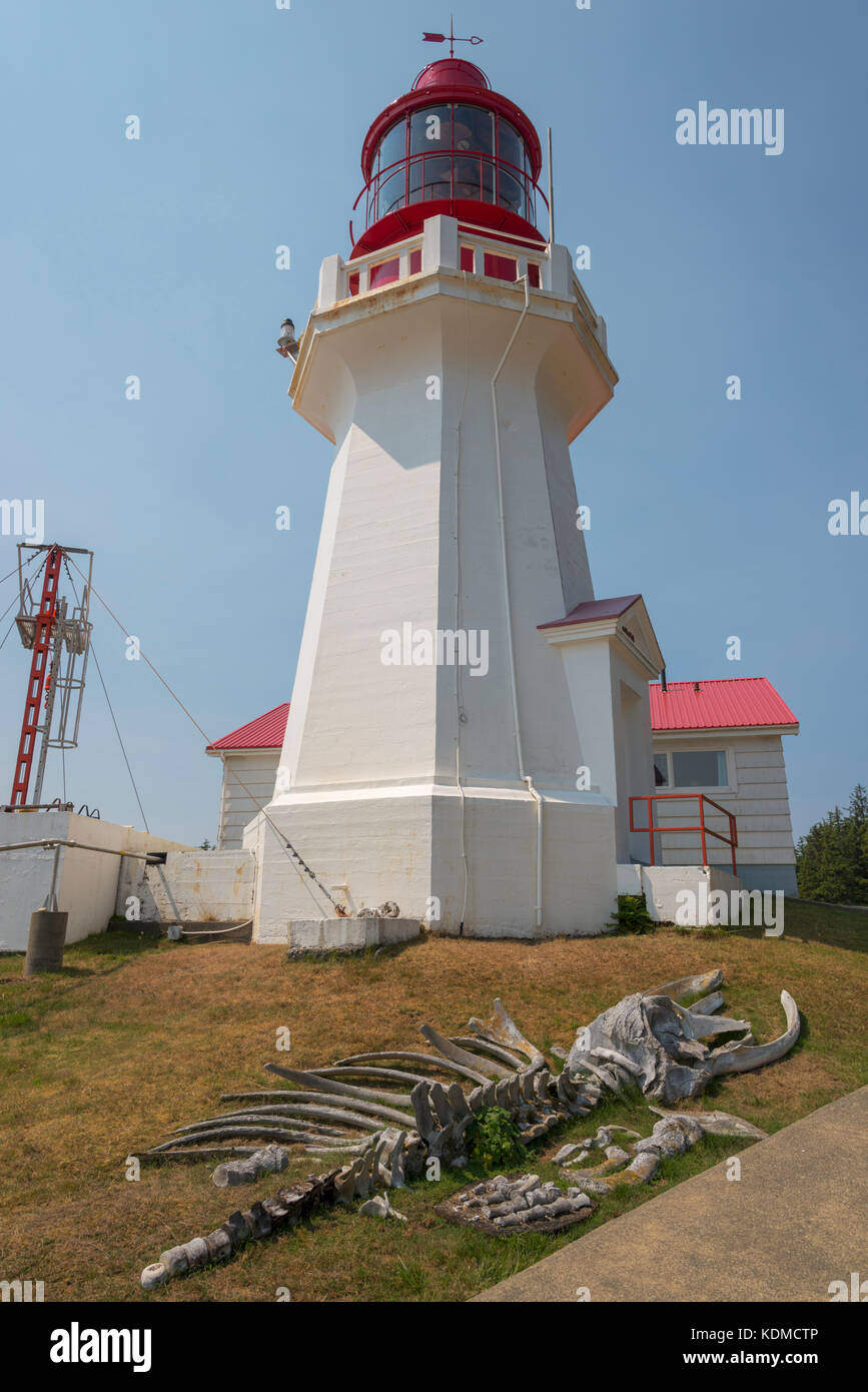 Whale bones at Carmanah Lighthouse in the Pacific Rim National Park ...