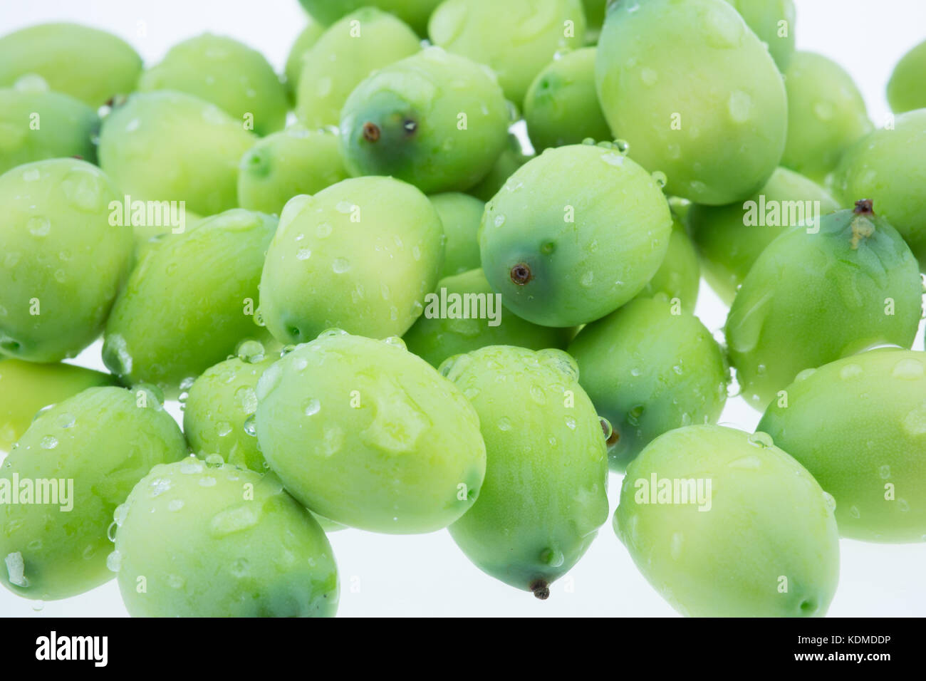 Calyx, Lotus seeds green on white background Stock Photo - Alamy