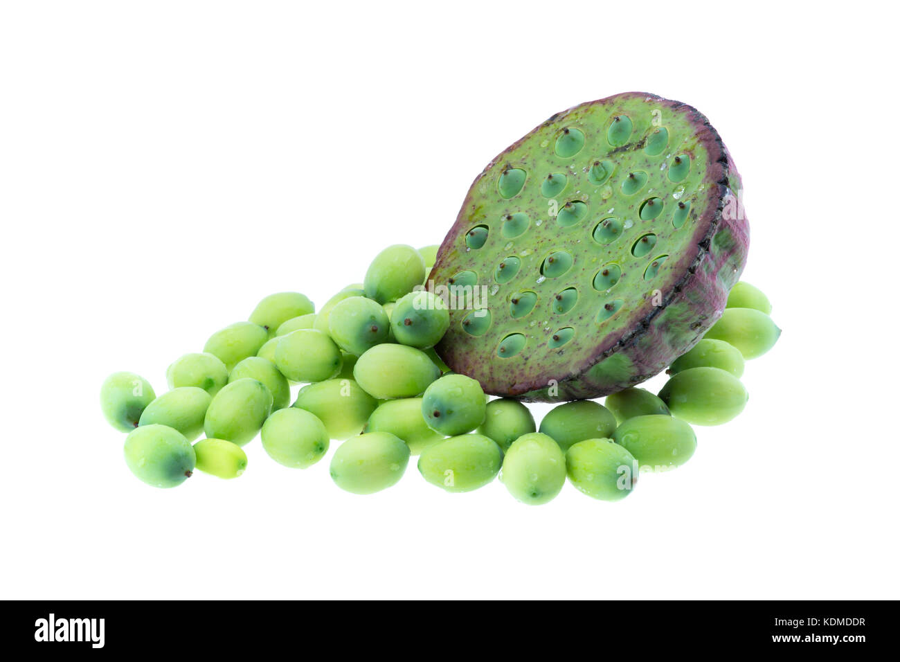 Lotus seeds green Isolated Stock Photo - Alamy