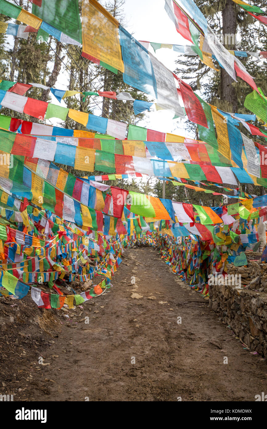 Prayer flags on mountain Stock Photo - Alamy