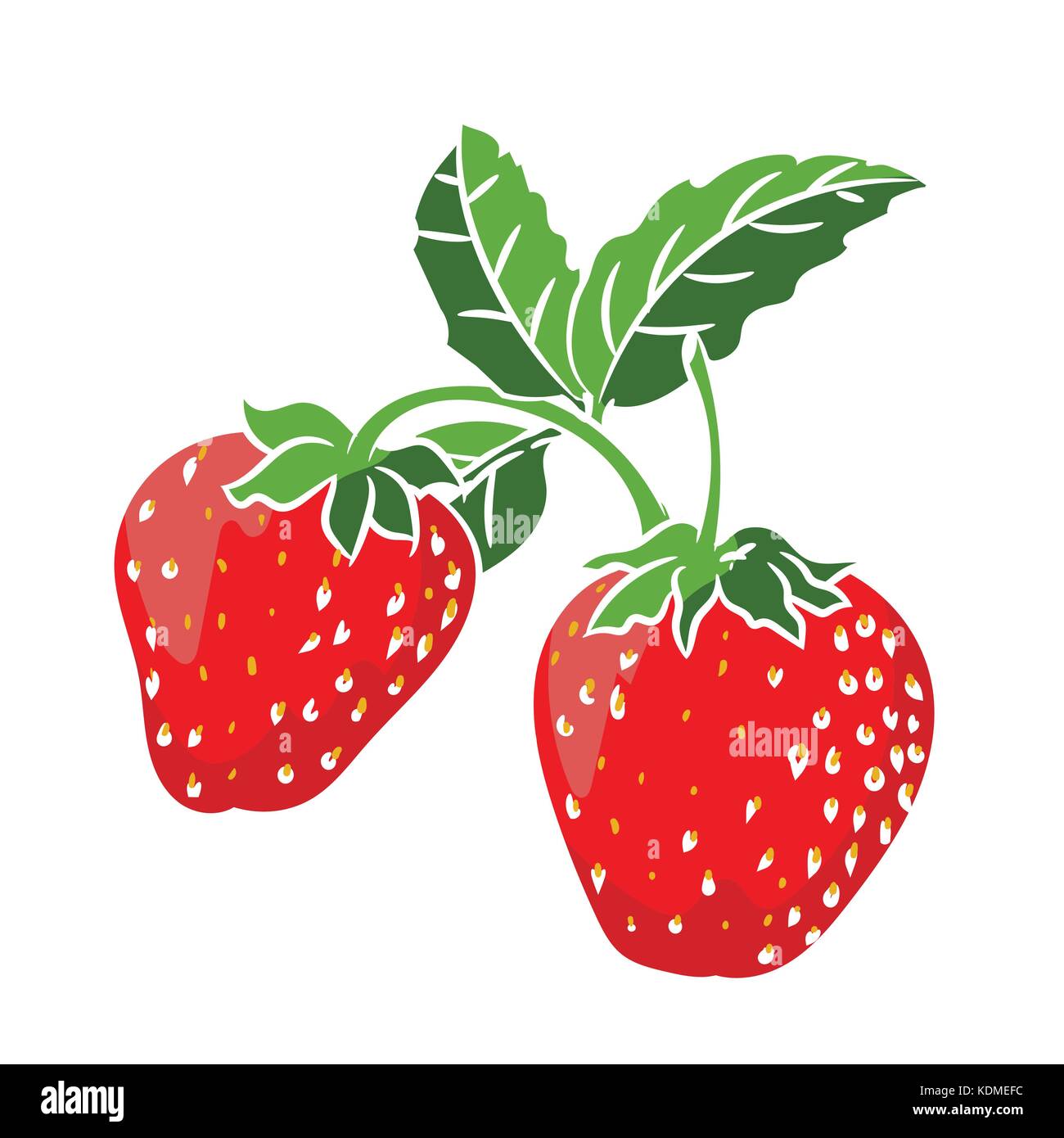 Strawberry drawing hi-res stock photography and images - Alamy